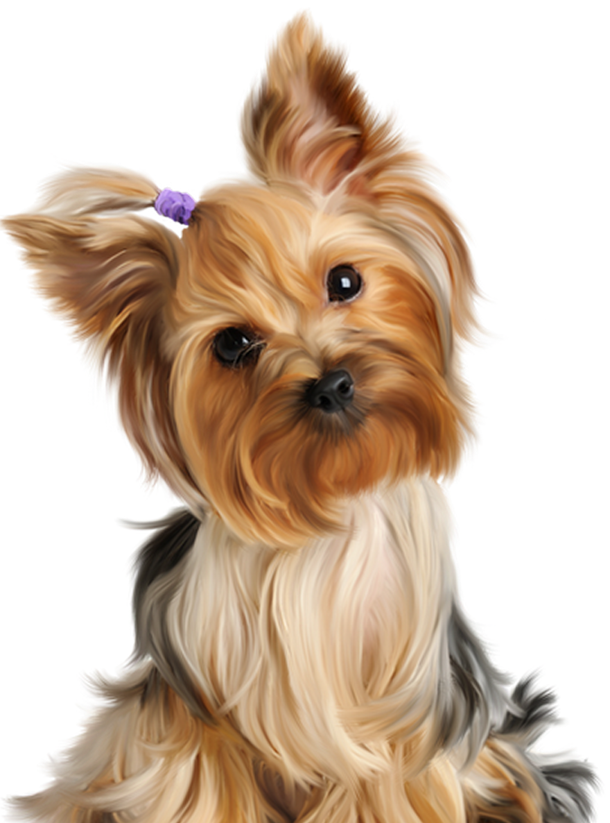 Lucy - Pet Care Landing Page